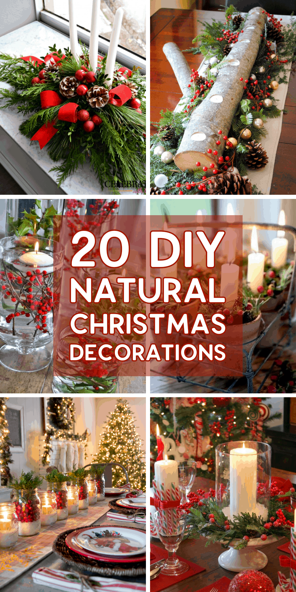 20 Gorgeous Natural DIY Christmas Decorations Centrepieces A Crazy