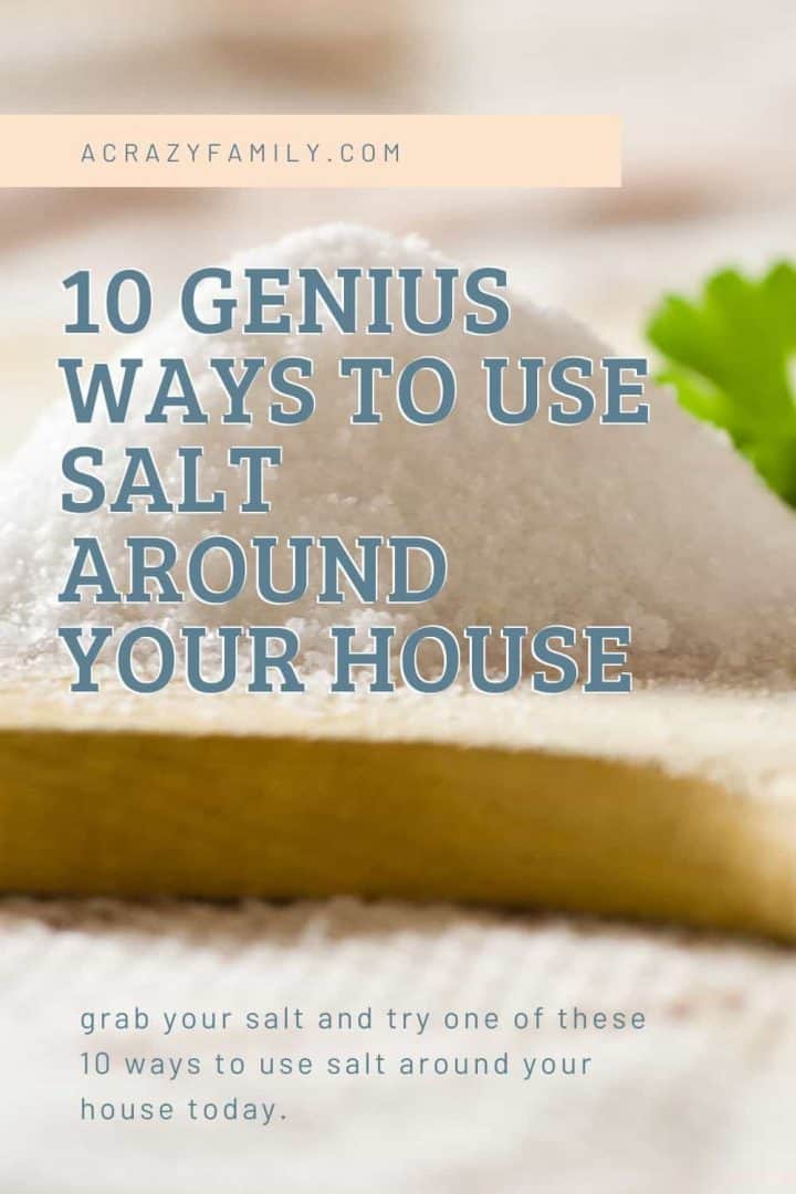 15+ Genius Ways to Use Salt Around Your House - A Crazy Family