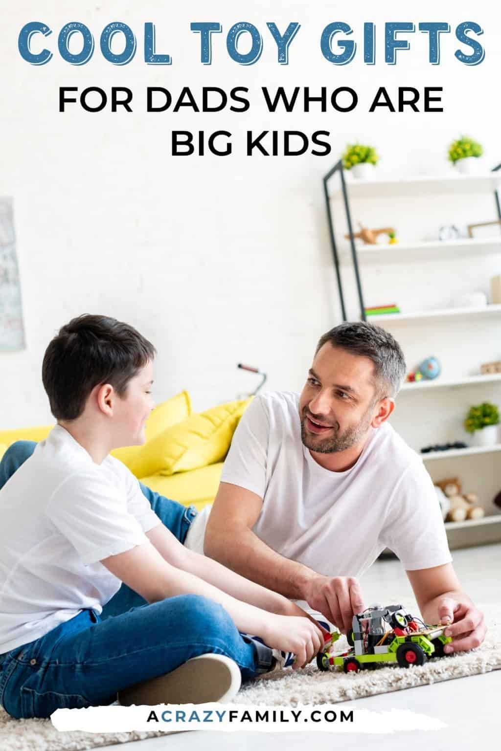 10 Cool Toy Gifts for Dads Who Are Big Kids - Perfect Gifts To ...