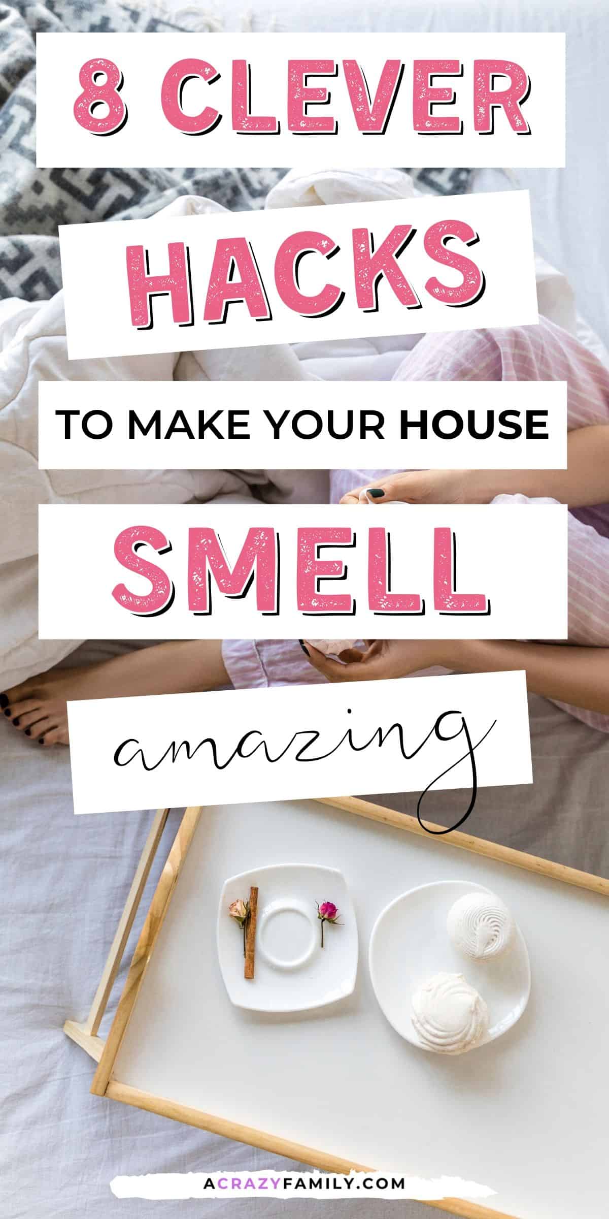 8 Easy Ways to Tackle Common Household Odors - A Crazy Family