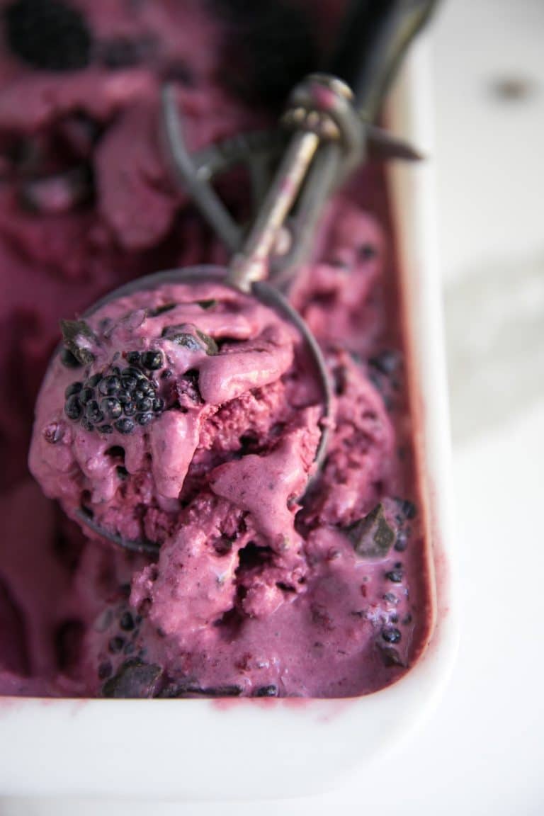 10 Delicious Berry Ice Cream Recipes That You Need To Make