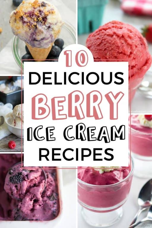 10 Delicious Berry Ice Cream Recipes That You Need To Make - A Crazy Family