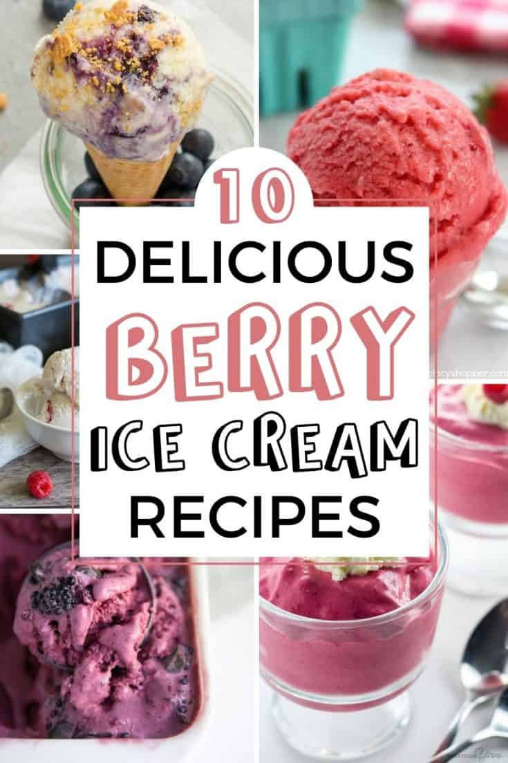10 Delicious Berry Ice Cream Recipes That You Need To Make - A Crazy Family