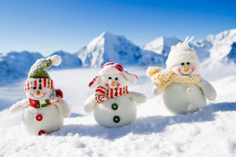 Fun Holidays in January To Celebrate – Holidays and Observances - A ...