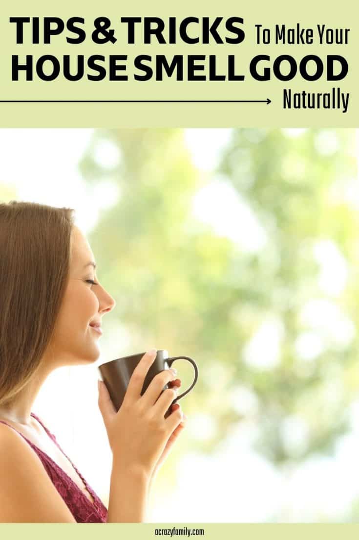 12 Tips & Tricks To Make Your House Smell Good Naturally – all the time ...