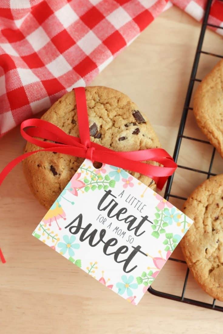 Sweet Treat Mothers Day Gift Idea (Free Printable Gift Tags) - A Crazy ...