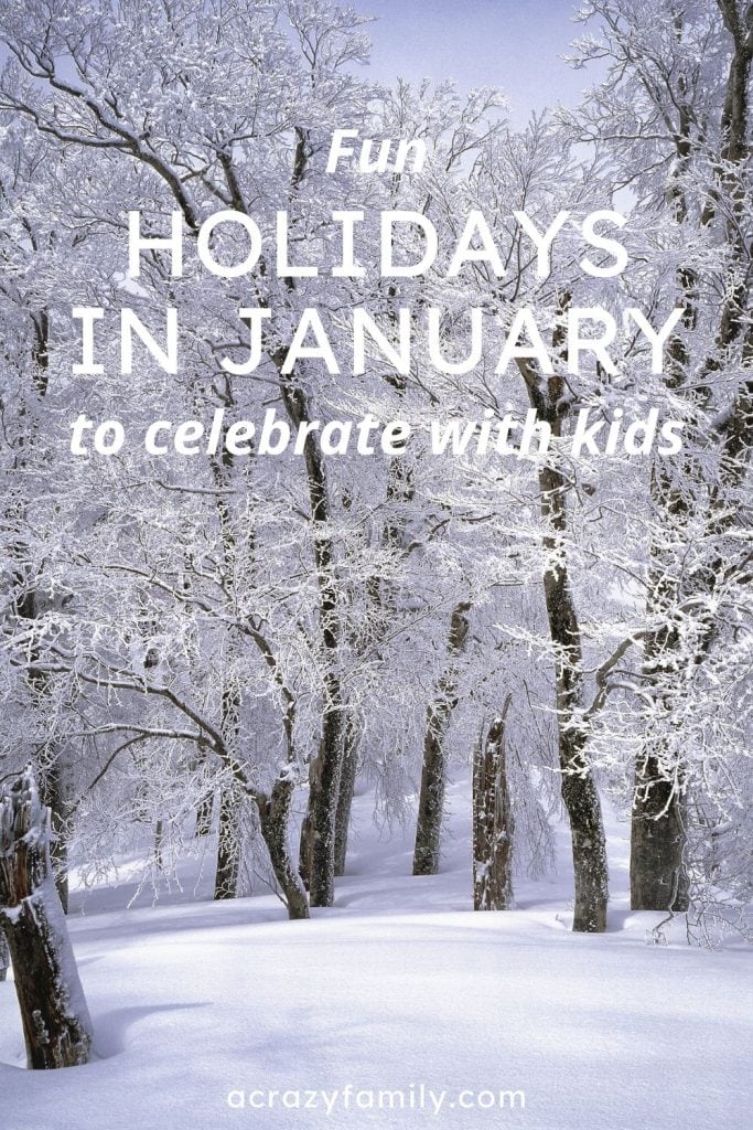 Fun Holidays in January To Celebrate – Holidays and Observances - A ...
