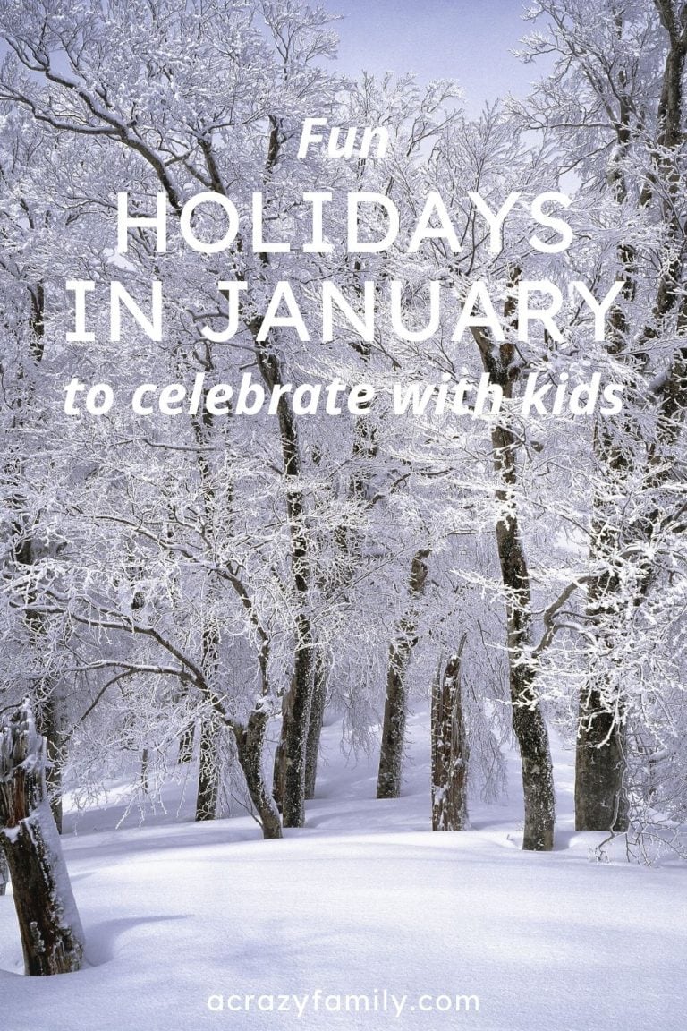 Fun Holidays in January To Celebrate – Holidays and Observances - A ...