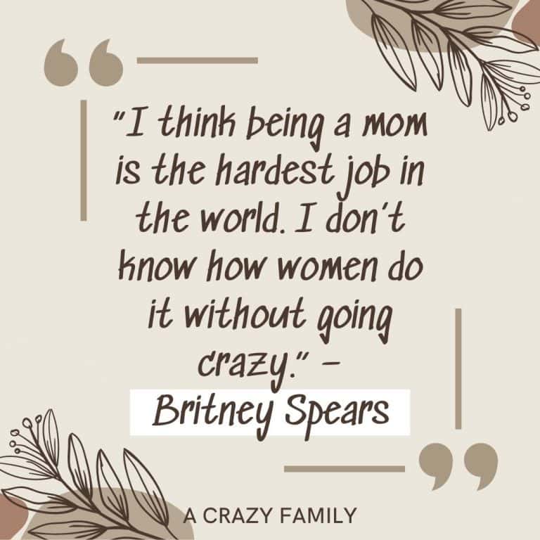 Being a Mom is Hard Quotes - A Crazy Family