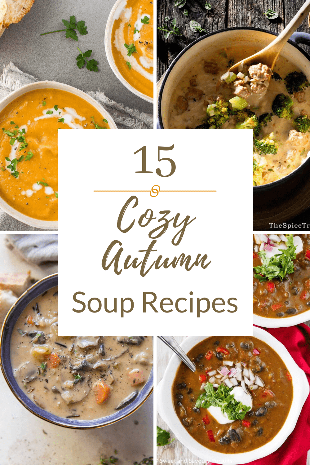 15 Cozy Autumn Soup Recipes You Have to Try This Season - A Crazy Family
