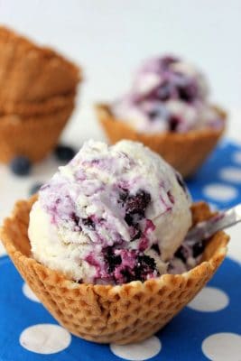 10 Delicious Berry Ice Cream Recipes That You Need To Make - A Crazy Family