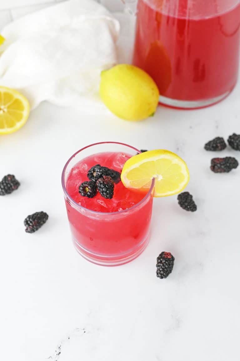 Easy Homemade Blackberry Lemonade - A Crazy Family