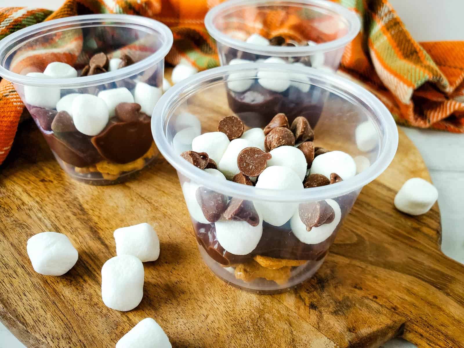 Indulge in the Easiest Ever S'mores Dessert Cups - A Crazy Family