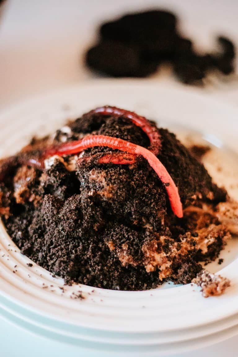 Dirt Cake Trifle and Earthworms - A Crazy Family