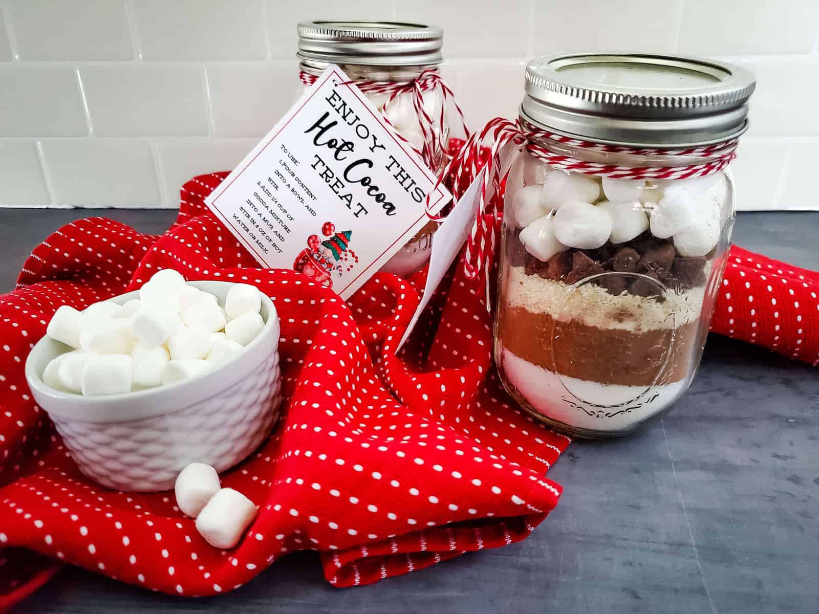 Hot Cocoa In A Jar Gift Idea + Free Printable Tag - A Crazy Family