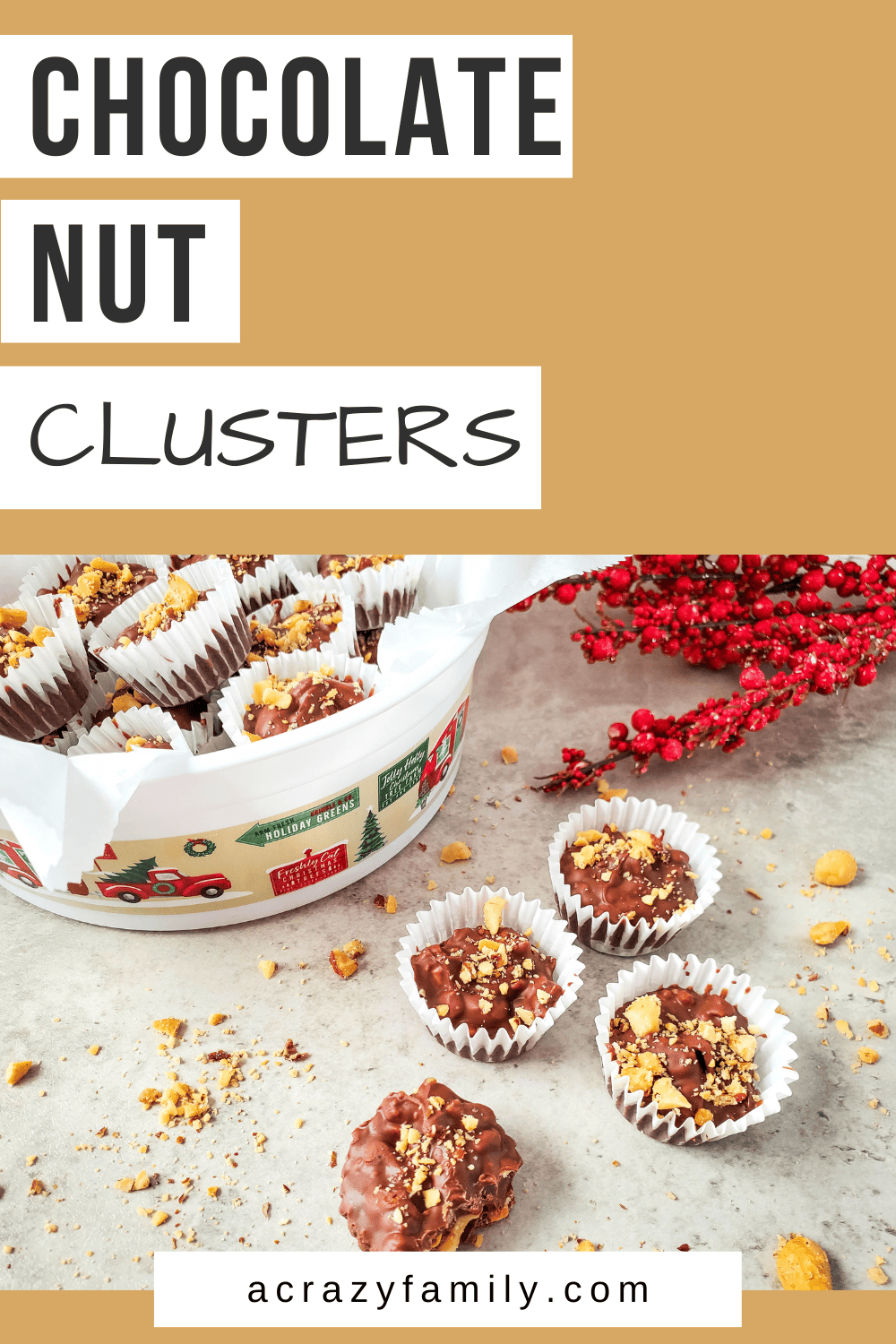 Delicious Chocolate Nut Clusters - A Crazy Family