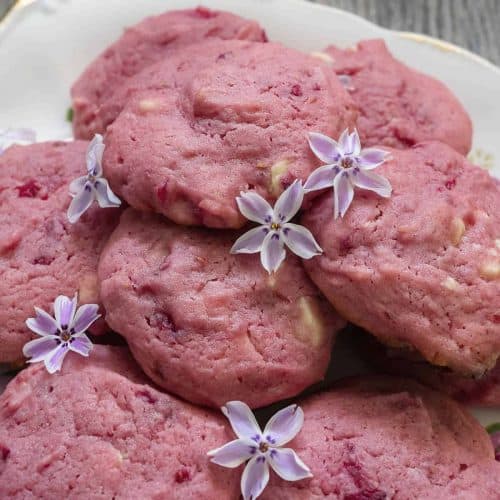 35 Eye-Catching Colorful Cookies to Brighten Your Day - A Crazy Family