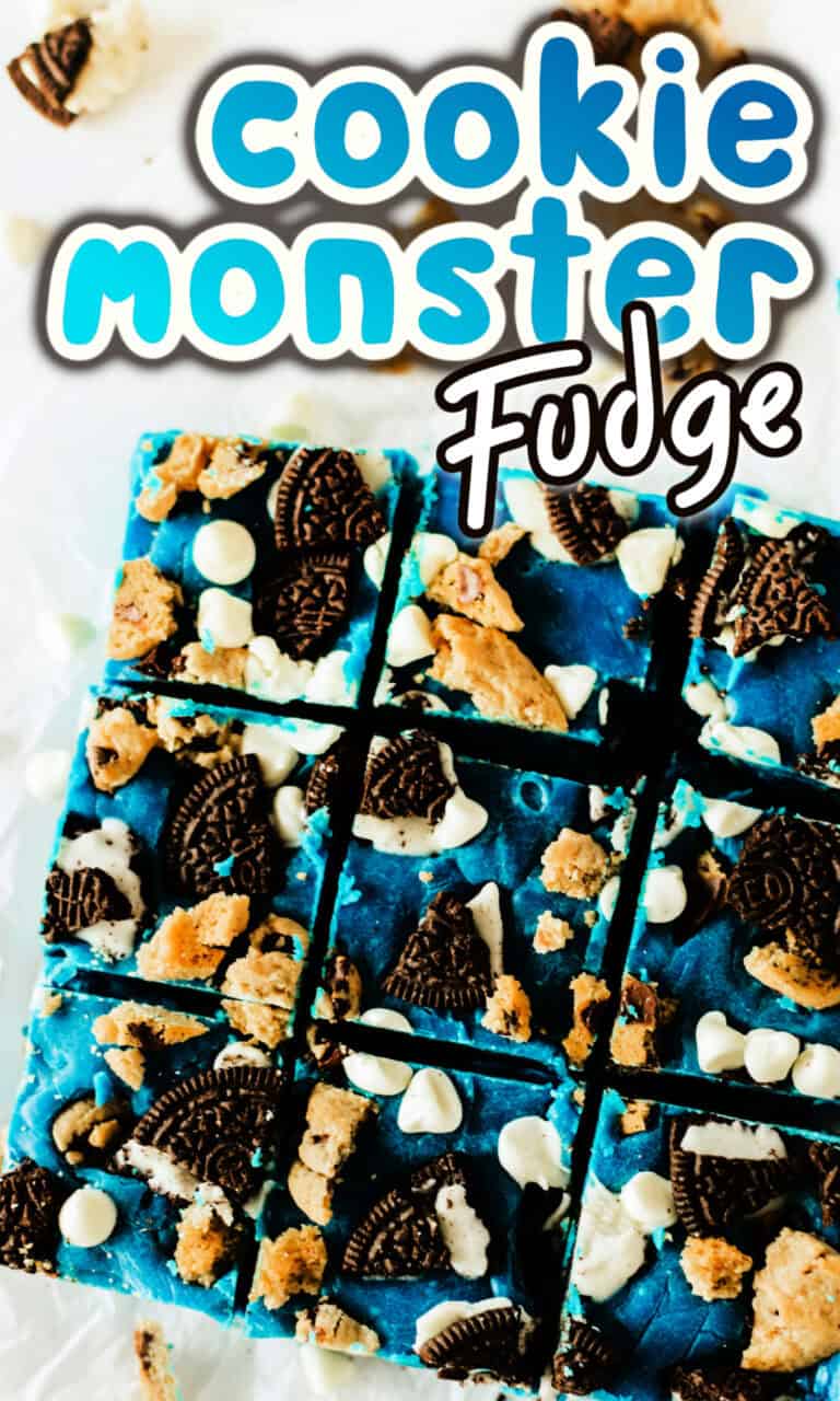 Cookie Monster Fudge - A Crazy Family