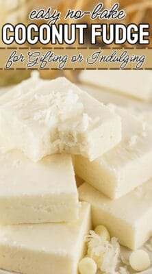 Rich & Creamy Coconut Fudge with Just 4 Ingredients - A Crazy Family