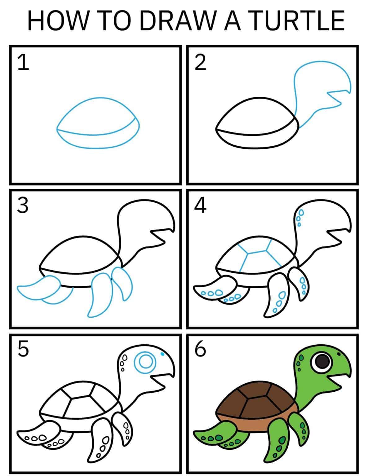 How to Draw a Turtle Step-by-Step Printable for Kids - How to Draw a ...