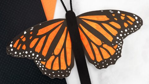 20 Fun and Creative Puppet Crafts for Kids - A Crazy Family