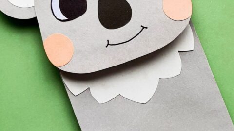 20 Fun and Creative Puppet Crafts for Kids - A Crazy Family